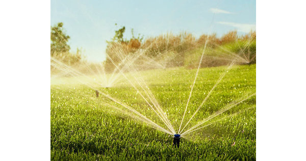 All Round Reticulation: Home & Garden Services in Perth, Australia ...