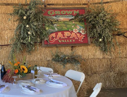22nd Annual Taste of Capay, Sunday, 05 Nov 2023 - Taber Ranch Vineyard ...