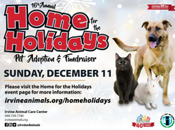 Home for the Holidays Pet Adoption and Fundraiser, Sunday, 11 Dec 2022 ...