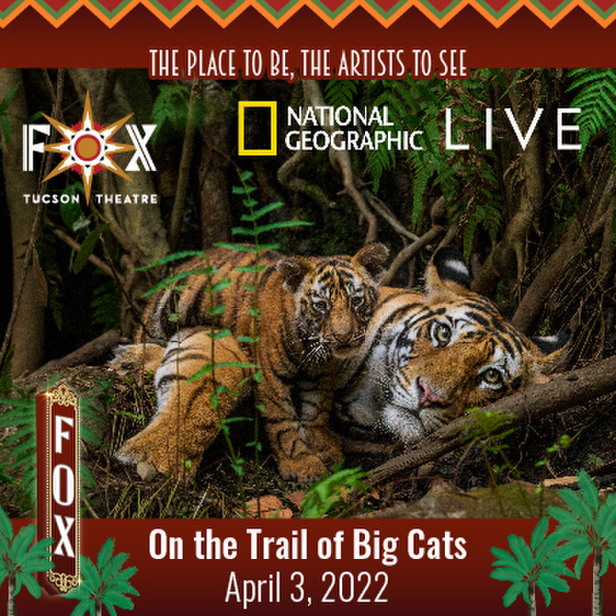 Steve Winter - On the Trail of Big Cats, Sunday, 03 Apr 2022 - Fox ...