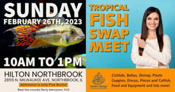 Tropical Fish Swap Meet, Sunday, 26 Feb 2023 - Hilton Chicago ...