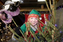 Winter Fair 2022, Saturday, 19 Nov 2022 - South of England Showground ...